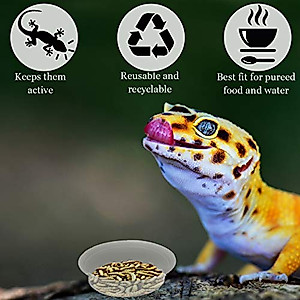 SunGrow Gecko Food and Water Containers, Reusable, Recyclable, Disposable Cups, 0.5 oz Capacity, Fits Various Reptile Feeder, 50 Pcs