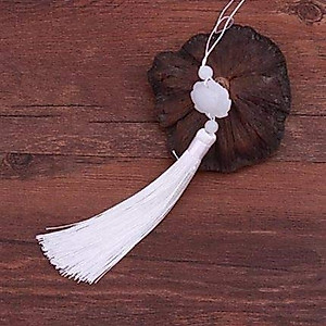 Gnognauq 40pcs Tassels Mixed 20 Colors Soft Imitation Silk Tassels for Earring Jewelry Making, DIY Craft Projects, Bookmarks