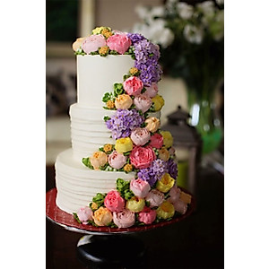 Boyun Acrylic Cake Disk Set, 3-Piece (6.25'' + 8.25'' + 10.25''), Includes Comb Scrapers, Dowel Rods, BPA-Free