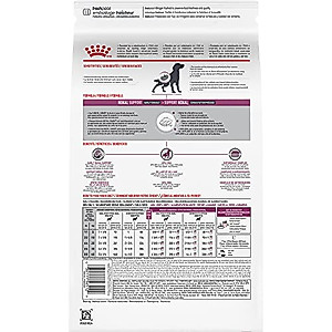 Royal Canin Veterinary Diet Canine Renal Support Early Consult Dry Dog Food, 5.5 lbs.