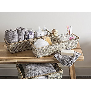 DII Trapezoid Seagrass Metallic Basket, 16x5x4-Set of 2, Silver