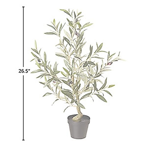 Amazon Brand - Stone & Beam Artificial Olive Tree with Plastic Nursery Pot, 2.2 Feet (26.5 Inches) / Small, Indoor