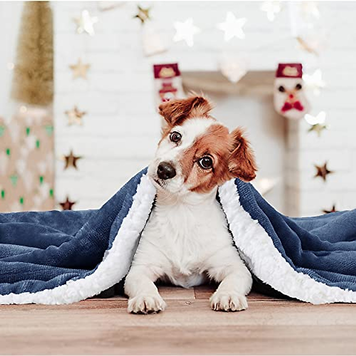 HomeSweety TOAO Sherpa Fleece Blanket Queen Size, Thick Blankets for Winter Soft Fuzzy Flannel Fleece/Wool Like Reversible Velvet Plush Couch Blanket, Cozy Luxury Bed Blankets(90''x90'',Navy Blue) 1