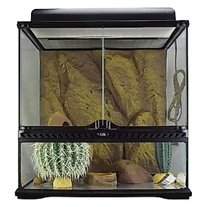 Exo Terra Desert Habitat Kit, Reptile Terrarium Starter Kit, Medium, PT2652A1