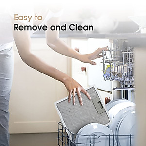 GASLAND 30 Inch Range Hood,Gasland Under Cabinet Vent Hood for Kitchen with 3 Speed Exhaust Fan,Insert Ducted Range Hood with 2 LED Lights, Black (Pro SR30BP)