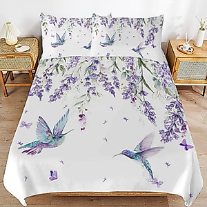 GDSCCLGX Rustic Spring Lavender Hummingbird Duvet Cover Set 3 Piece Queen Size,1 Modern Minimalist Art Vine Purple Garden Lavender Butterfly Duvet Cover&2 Pillowcases(No Insert)