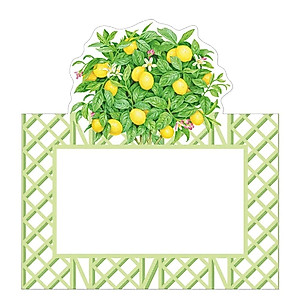 Caspari Citrus Topiaries Die-Cut Place Cards, 40 Count