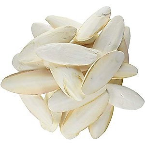 Cuttlebone Bulk 25 Count, Medium: 4 - 6 inches, for Birds, Tortoises
