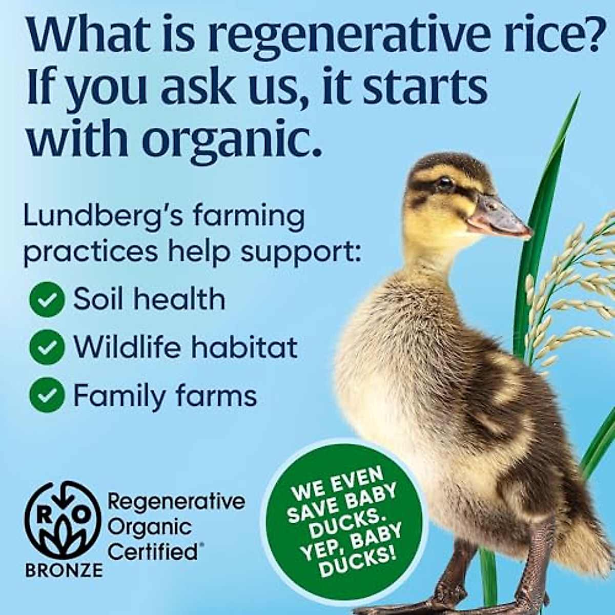 Lundberg Organic California Sushi Rice - Short Grain Rice, White Japanese-Style Sticky Rice for Perfect Sushi Rolls, Rice Bowls, and Mochi, White Rice Grown in California, 32 Oz