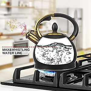 3Quart Whistling Tea Kettle Classic Teapot Stainless Steel Teakettle with Cool Grip for Stovetop