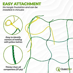 QueenBird Trellis Netting - Heavy Duty Garden Trellis Netting for Climbing Plants - 5.9 Feet X 32.8 Feet -Very Strong Support for Vegetables, Clematis, Cucumber,Tomatoes and Vine Plants