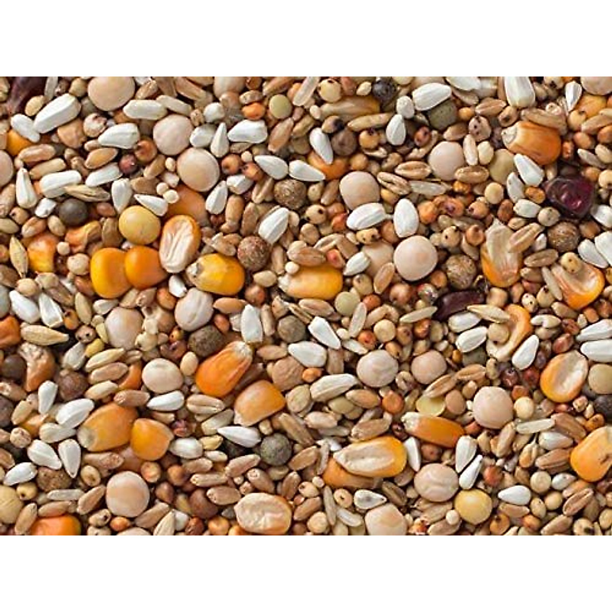 Premium 22 Pigeon Mix (13.25%) 20 lbs