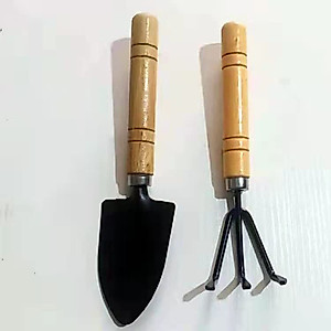 3Pcs Succulent Tools, This Tool Set is Especially Suitable for Office Gardening, Desktop Gardening and Indoor Bonsai,It Helps You All Kinds of Small Potted Plants，Meets Your Gardening Needs