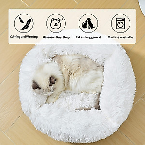 Gavenia Cat Bed for Indoor Cats,22 inch Soft Long Plush Cushion Washable Pet Bed Calming Self-Warming Square Cat and Dog Bed Anti-Slip & Waterproof Bottom Cushion (22 x 18 x 7 inch, White)…