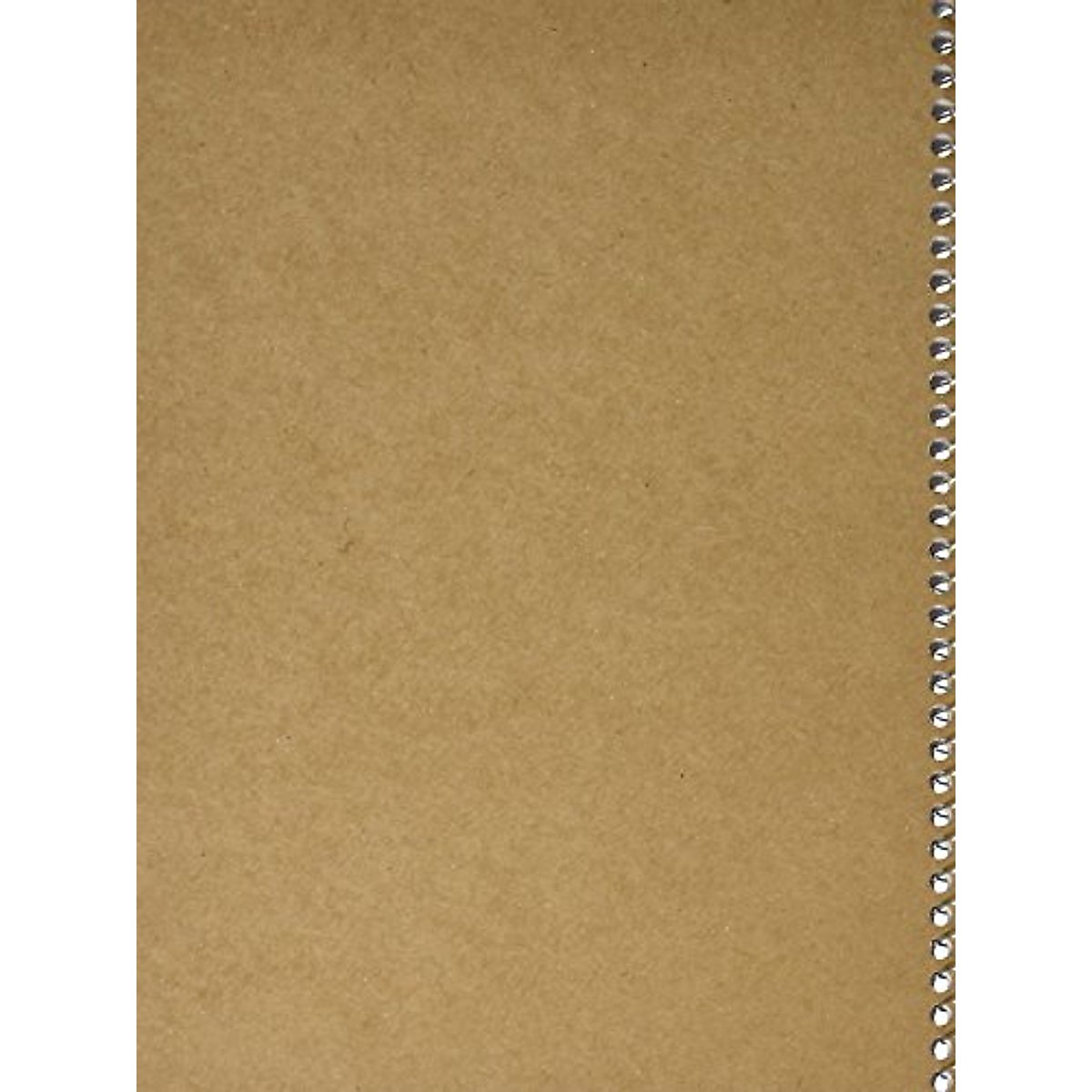 Mead Spiral Notebook, 1-Subject, Graph Ruled Paper, 7-1/2" x 10-1/2", 100 Sheets, Color Will Vary (05676)