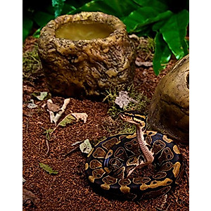 Exo Terra Snake Bowl