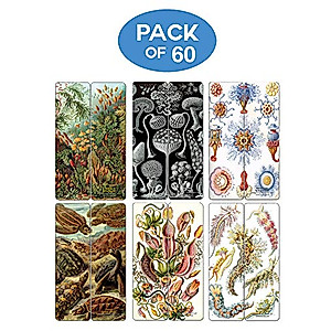 Creanoso Ernst Haeckel Bookmarks Series 2 (60-Pack) - Premium Quality Gift Ideas for Children, Teens, & Adults for All Occasions - Stocking Stuffers Party Favor & Giveaways