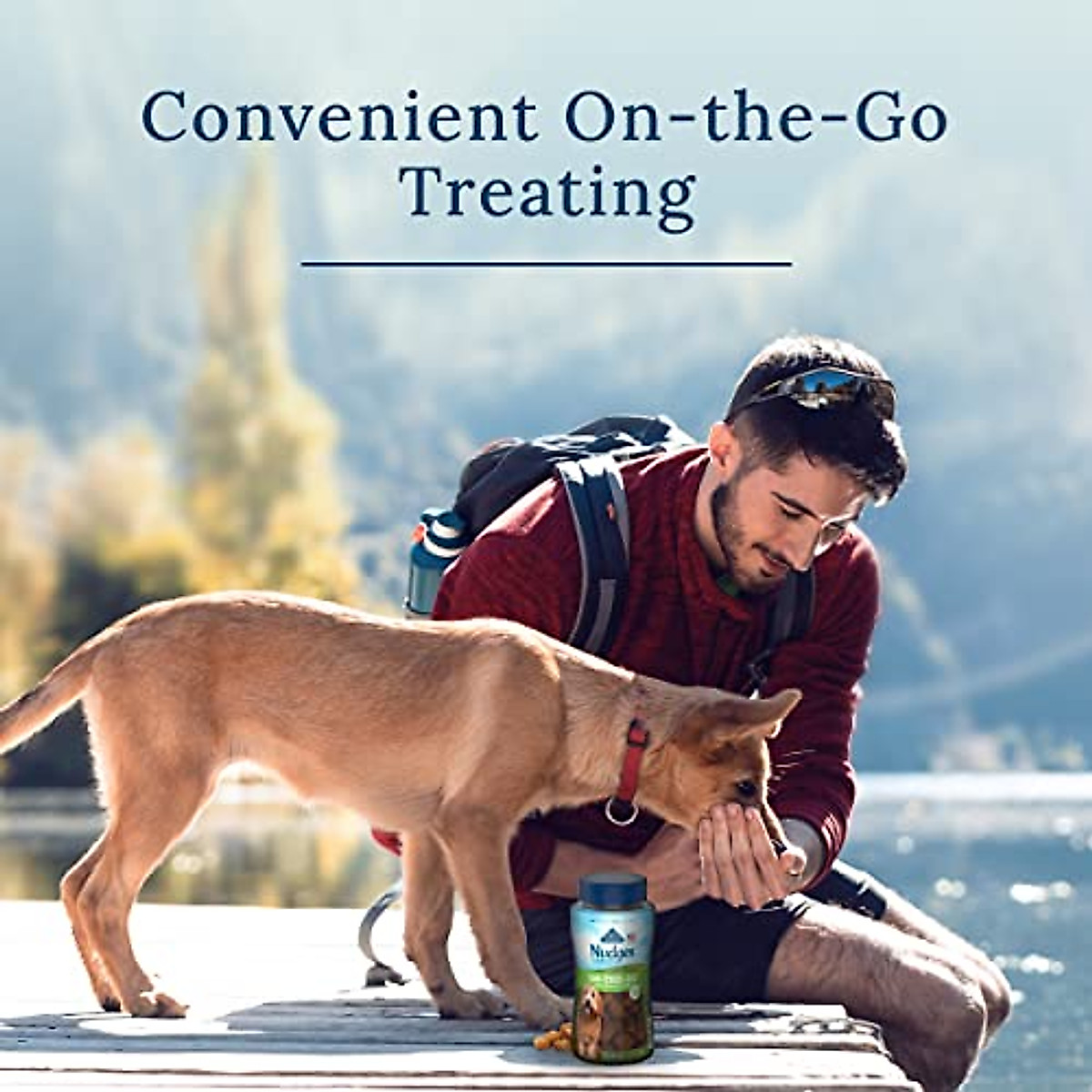 Blue Buffalo Nudges On The Go Natural Dog Treats, Chicken 5.5oz Reusable Container