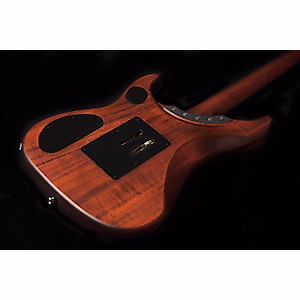 Other Nuno Bettencourt 6 String Solid-Body Electric Guitar, Right, Padauk Vint. Matte (Other)