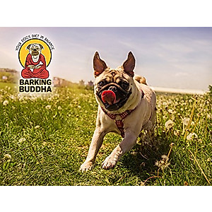 Barking Buddha Beef Cheek Slices | Premium Dog Chews | Extra Thick, All Natural, No Additives, Gluten Free | Peanut Butter - Small 5”-6” - 15 Pack