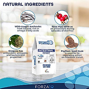Forza10 Active Intestinal Support Diet Dry Cat Food for Adult Cats, Cat Food Dry for Upset Stomach, Diarrhea and Intestinal Disorders, Wild Caught Anchovy Flavor, 4 Pound Bag