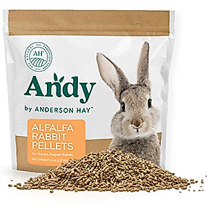 Andy Alfalfa Hay Pellets, Premium Bunny Food for Rabbits, Alfalfa Pellets for Pregnant Bunnies, Young Rabbit Food, Rich in Calcium and Protein, 5 lbs Bag