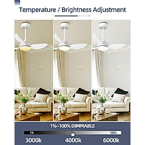 YOUKAIN Ceiling Fans, 30 lnch Small Ceiling fan with Lights and Remote Control, LED Indoor/Outdoor Ceiling Fan with 3 Reversible Blades for Bedroom, Kitchen, Patio, White, 30-YJ652-WH