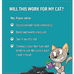 Cat Crack Organic Catnip, 100% Natural Cat Nips Organic Blend That Energizes and Excites Cats, Safe Catnip Treats Used for Cat Play, Cat Training, & New Organic Catnip Toys for Cats(1 Cup Organic)