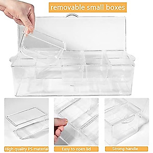 Laojbaba Chilled Condiment Server Clear Icy Condiment Bar Condiment Tray ice Party Serving bar with Lid Bar Garnish Holder on ice 5 Removable Compartments