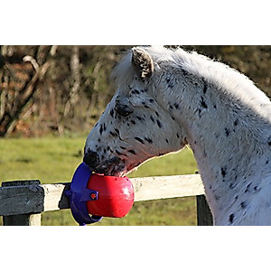 Manna Pro 1000043 081765 Likit Tongue Twister, Red, Large (Pack of 1)