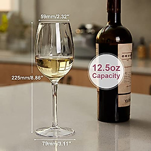 MICHLEY Unbreakable Red Wine Glasses, 100% Tritan Plastic Shatterproof Wine Goblets, BPA-free, Dishwasher-safe 12.5 oz, Set of 2