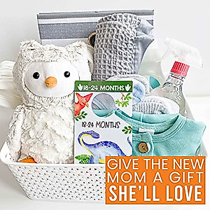 6 Baby Closet Size Dividers Boy - Dinosaur Baby Closet Dividers by Month, Baby Closet Organizer for Nursery Organization, Baby Essentials for Newborn Essentials Baby Boy, Nursery Closet Dividers Boy