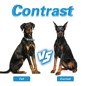 KeaJuidy Dog Ear Posting Kit, Dog Ear Stand Up Support Tool Two Ways, Dog Ear Stick Foam Tape Dog Supplies Dog Ear Fixed Correction Vertical Holder for Doberman Pinscher Dog Samoyed Corgi