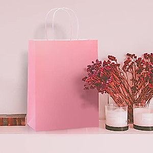 Nexmint 24-Pack Medium Pink Paper Gift Bags with Handle: Pink Gift Bags, Pink Paper Bag, Shopping Bag, Party Favor Bags, Treat Bags, Goodie Bag, Business Tchotchkes, Shopping Bag, Retail Bag, Kraft Paper Bag