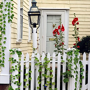 CQURE 14 Pack 98Ft Artificial Ivy Garland, Fake Vines UV Resistant Greenery Leaves Fake Plants Hanging Aesthetic Vines for Home Bedroom Party Garden Wall Room Decor