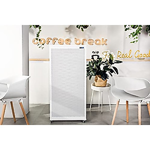 Smart Health Blast (HEPA + Carbon) Air Purifier (Blast with HEPA and Carbon (VOC) Filters)