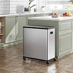 finetones 16 Gallon Automatic Dual Trash Can, 2×8 Gallon Touch-Free Kitchen Trash Can with Brakable Wheels, Motion Sensor Garbage Can for Kitchen Recycle Trash Can, Soft-Closed Lid, Large Capacity