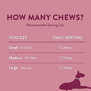 INK MAFIA HolistaPet Dog Skin and Coat Supplement - Dog Vitamins, Dog Allergy Relief Chews 30ct