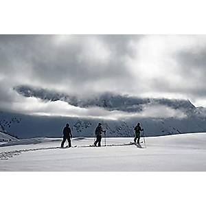 Spark R&D 21/22 Surge Bindings - Men's Lime, Small (B11032122)