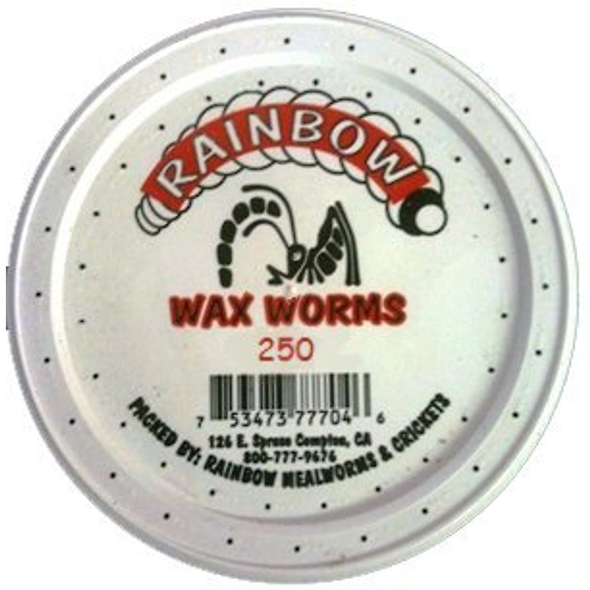 Galleria mellonella Live Waxworms for Feeding Reptiles, Fishing, Birds, and Chickens (250) | Live Arrival Guaranteed by DBDPet