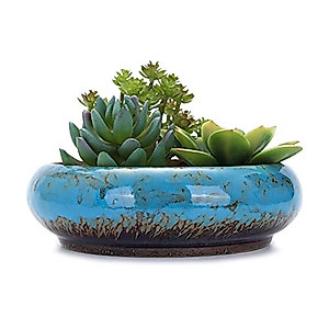 VanEnjoy 7.3 inch Round Large Shallow Succulent Ceramic Glazed Planter Pots with Drainage Hole, Bonsai Pots Garden Decorative Cactus Stand Flower Container (Blue)
