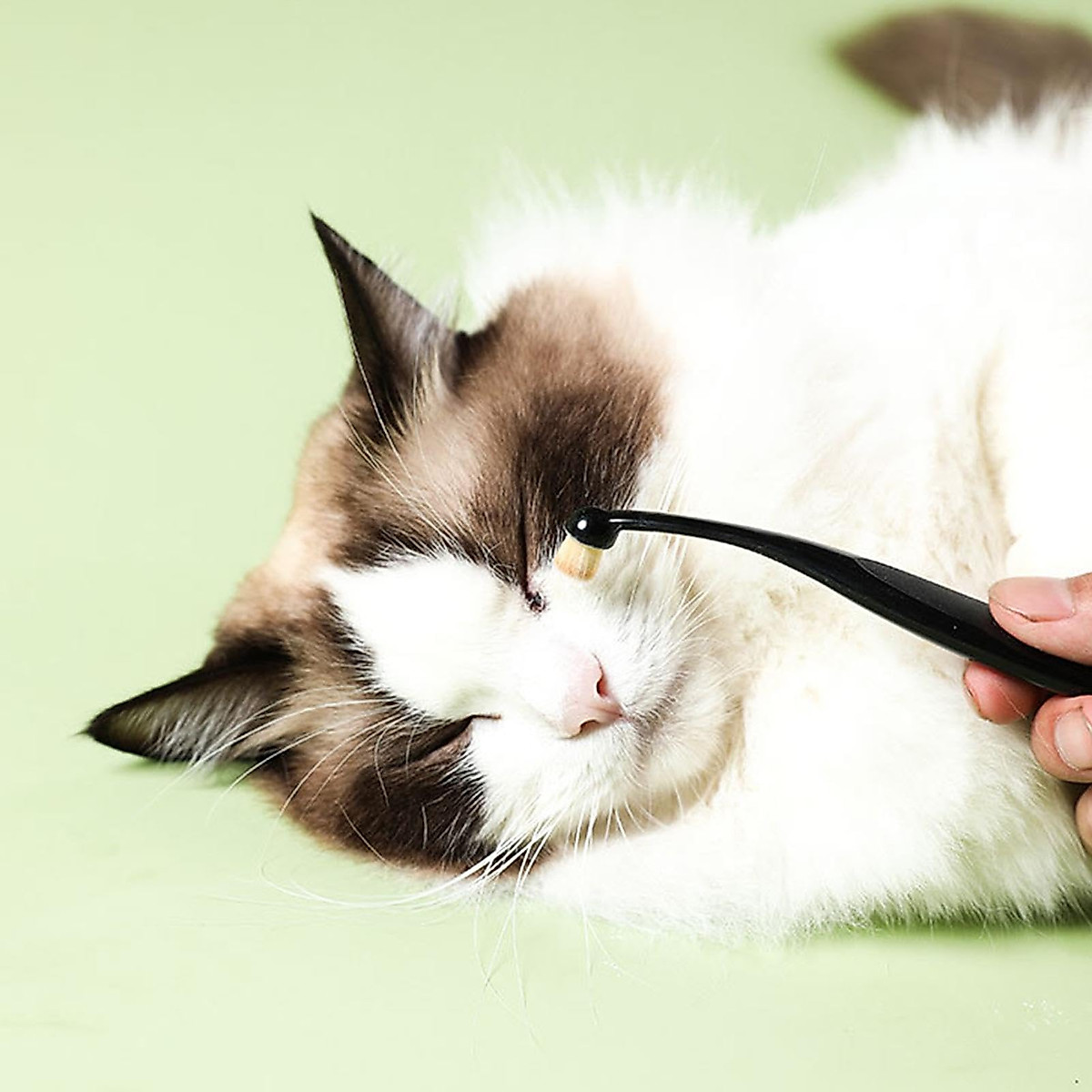 Generic 1/2 Pcs Dog Tear Stain Remove - Eliminates Unsightly Tear Stains, Tear Stain Plus Lutein | Stain Powder and Small Applicator Brush, Tear Stain Remover Powder for Dogs, Cats, Puppy