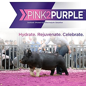 Pink2Purple Isotonic Protein & Electrolytes Solution for Pigs (2.2 lb. Pouch)