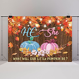 Moukeren 7 x 5 ft Fall Pumpkin Gender Reveal Backdrop He or She What Will Our Little Pumpkin Be Photography Background Party Supplies Thanksgiving Baby Shower Decoration Banner Photo Booth Props