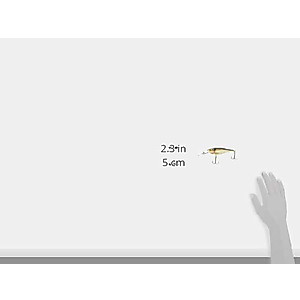 Rapala Shad Rap 09 Fishing lure, 3.5-Inch, Shad