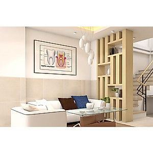 Dental Chart Wall Art Poster Dental Office Decor Nursing School Essentials Dental Medical Assistant Accessories Tooth Anatomy Science Posters Teacher Supplies Cool Wall Decor Art Print Poster 18x12