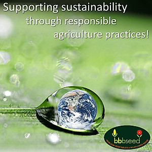 Sunflower Wildflower Seeds Mix - 1oz, Open-Pollinated Wildflower Seed Mix Packets, Non-GMO, No Fillers, Annual Sunflower Seeds, Summer Planting - 1 oz