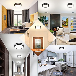 Flush Mount Ceiling Light Black, 30W 4000Lm 5CCT Dimmable LED Ceiling Light Fixture, 2700K/3000K/4000K/5000K/6500K Adjustable 10 Inch for Hallway Bedroom Bathroom Kitchen Closet Offices, Set of 2