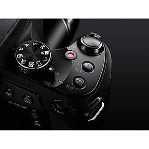 Panasonic Lumix DC-FZ80 Digital Camera + Memory Card Bundle