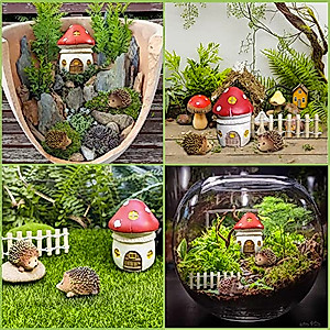 BEZALEL Fairy Garden Accessories Miniatures Fairy House Fairy Garden Kit for Kids Includes Fairy House Mini Hedgehog Fairy Garden Fence, Fairy Garden Kit for Plant Pots Patio Bonsai Terrariums Decor